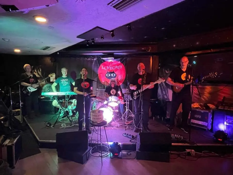 Classic Fish And Chips Dinner with The Love Cats | Malahat Legion